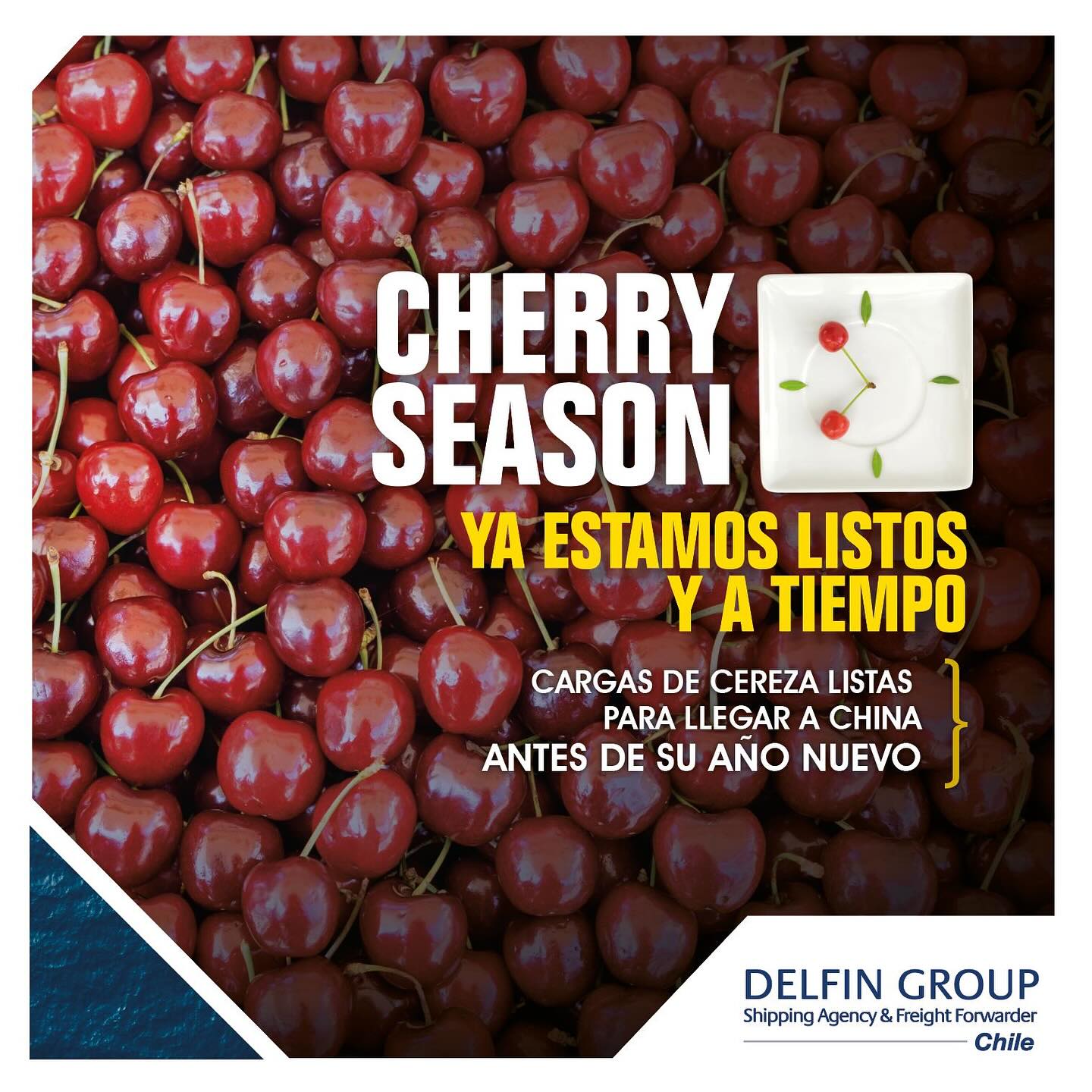 Delfin Group líderes en transporte marítimo desde Asia a ...